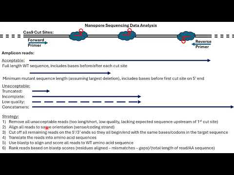 Using Nanopore Sequencing, Galaxy, and Excel to estimate Cas9 Knockout Efficiency