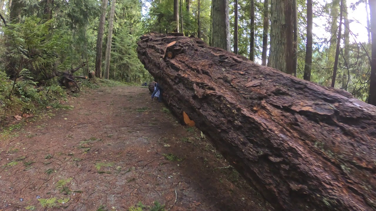 Exploring Hemer Provincial Park