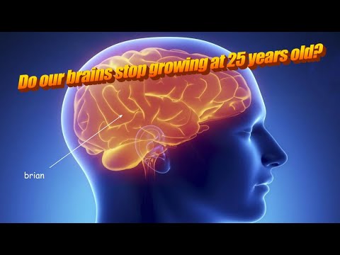 "Brains Stop Growing at 25" is a Myth