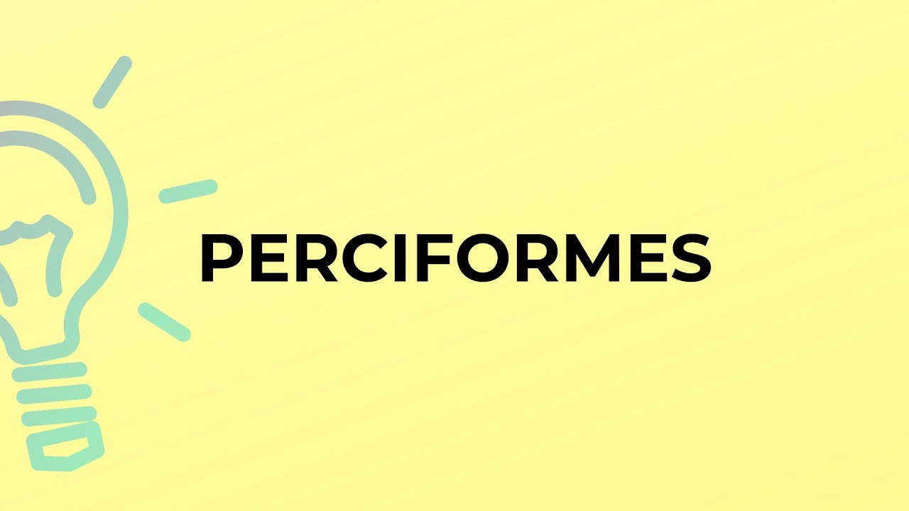 What is the meaning of the word PERCIFORMES?