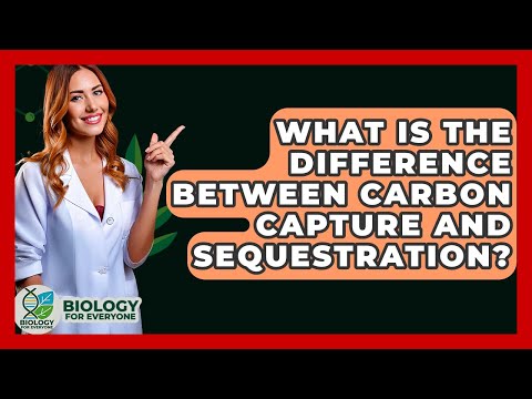 What Is The Difference Between Carbon Capture And Sequestration? - Biology For Everyone