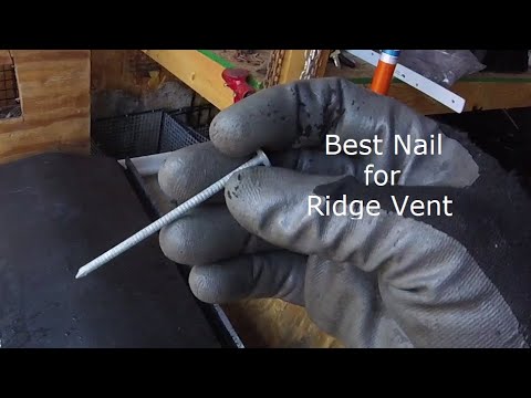 Animals at Ridge Vent | Best Nail for a Ridge Vent | Use a Ring Shank Nail of Proper Length