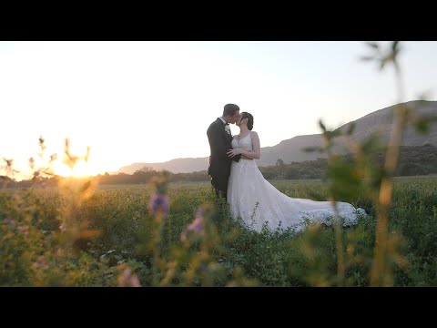 Wedding video Green leaves wedding venue - Jy dra my Hart - Ruan & Alta
