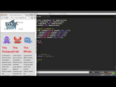 Learn Mastering CSS Fluid Grid | packtpub com - Mind Luster