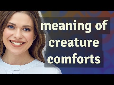 Creature comforts | meaning of Creature comforts