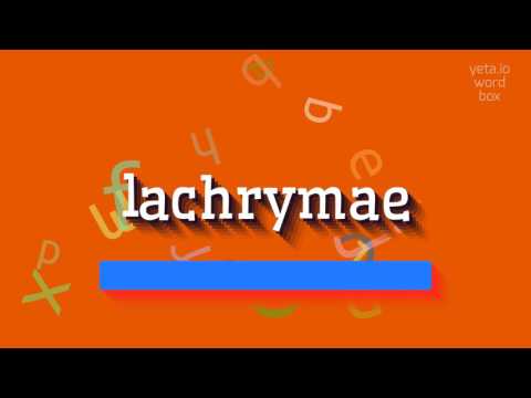 How to say "lachrymae"! (High Quality Voices)
