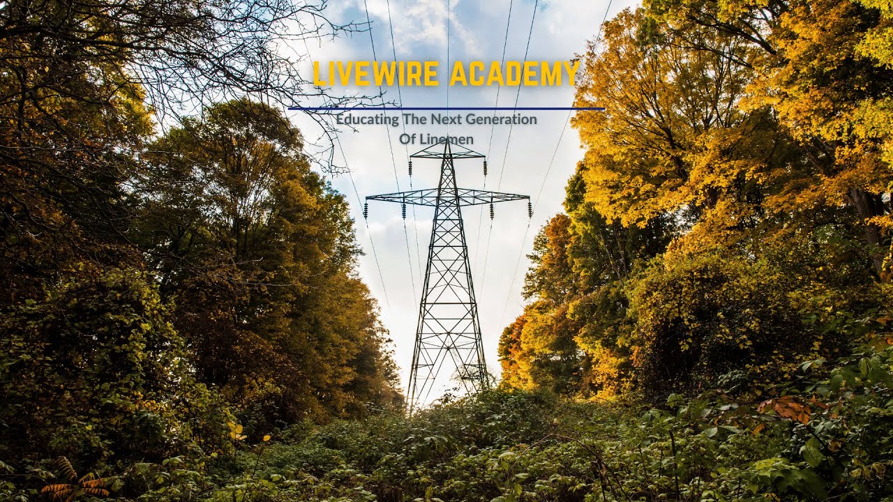 Welcome To Livewire Academy