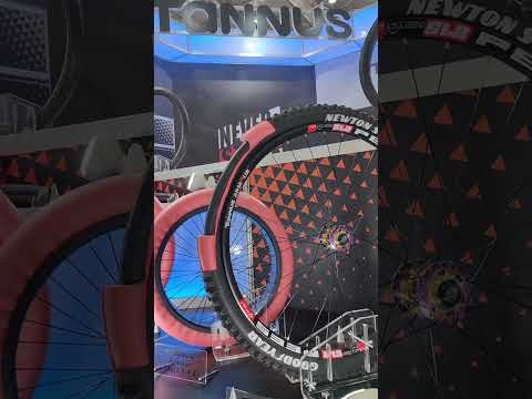 Stop bike flats! Tannus Armour bike inserts #video #youtube #youtubeshorts #tannus