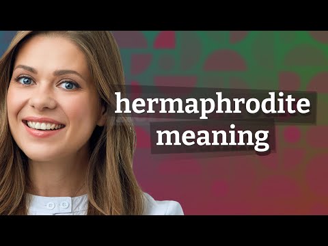 Hermaphrodite | meaning of Hermaphrodite
