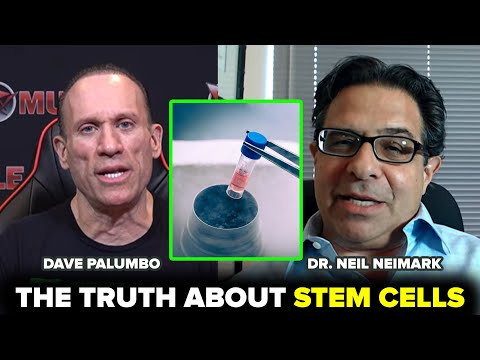 STEM CELLS: THE REAL SCIENCE