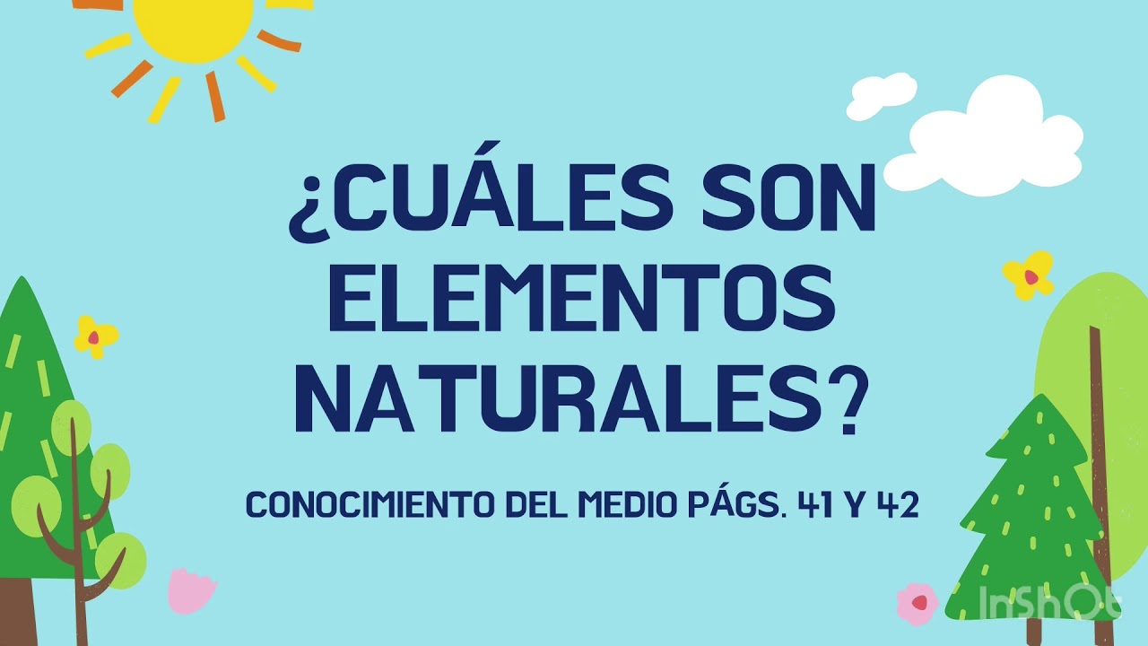 ¿CUÁLES SON ELEMENTOS NATURALES? 🌳