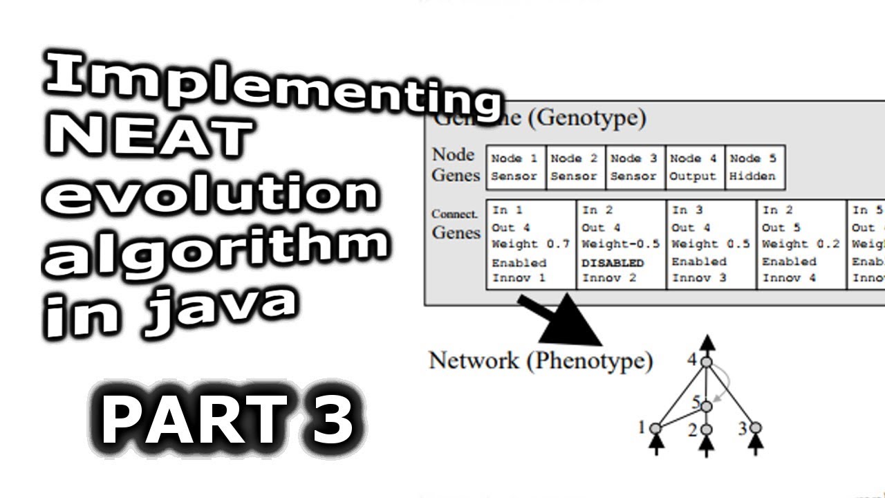 Implementing NEAT algorithm in java - PART 3