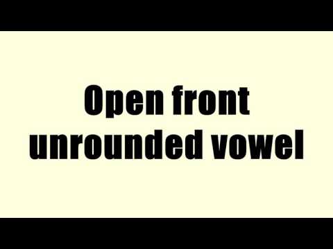 Open front unrounded vowel