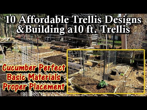 10 Affordable Cucumber Trellis Designs, Building a 10 ft. Trellis, & How to Place Them Correctly