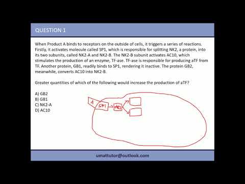 UMAT Section 1, Tutorial 6: Logical Reasoning