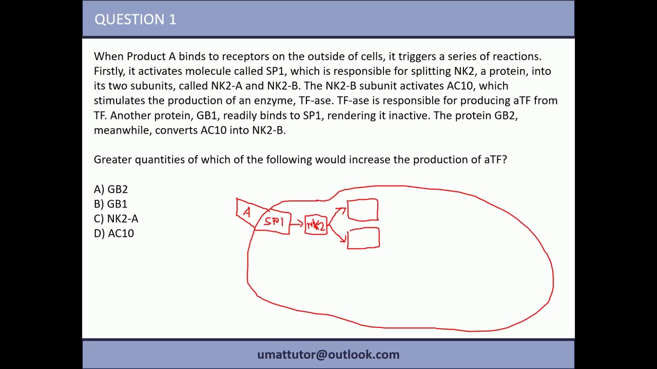 UMAT Section 1, Tutorial 6: Logical Reasoning