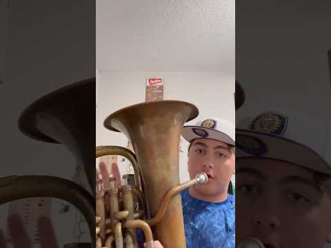  baritone for dummies #upcomingmusician #musicartistlife #music 