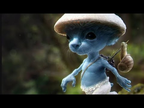 Smurf Cat meme