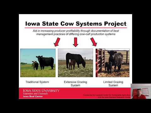 Cow Systems Series - Health