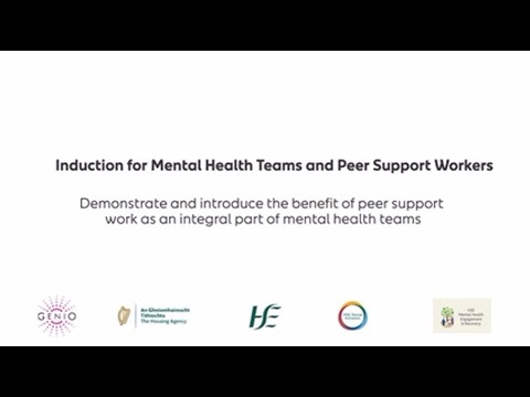 Induction of Peer Support within the Health Service Executive