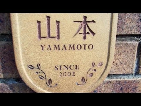 Who? When? Why??? in Japan!