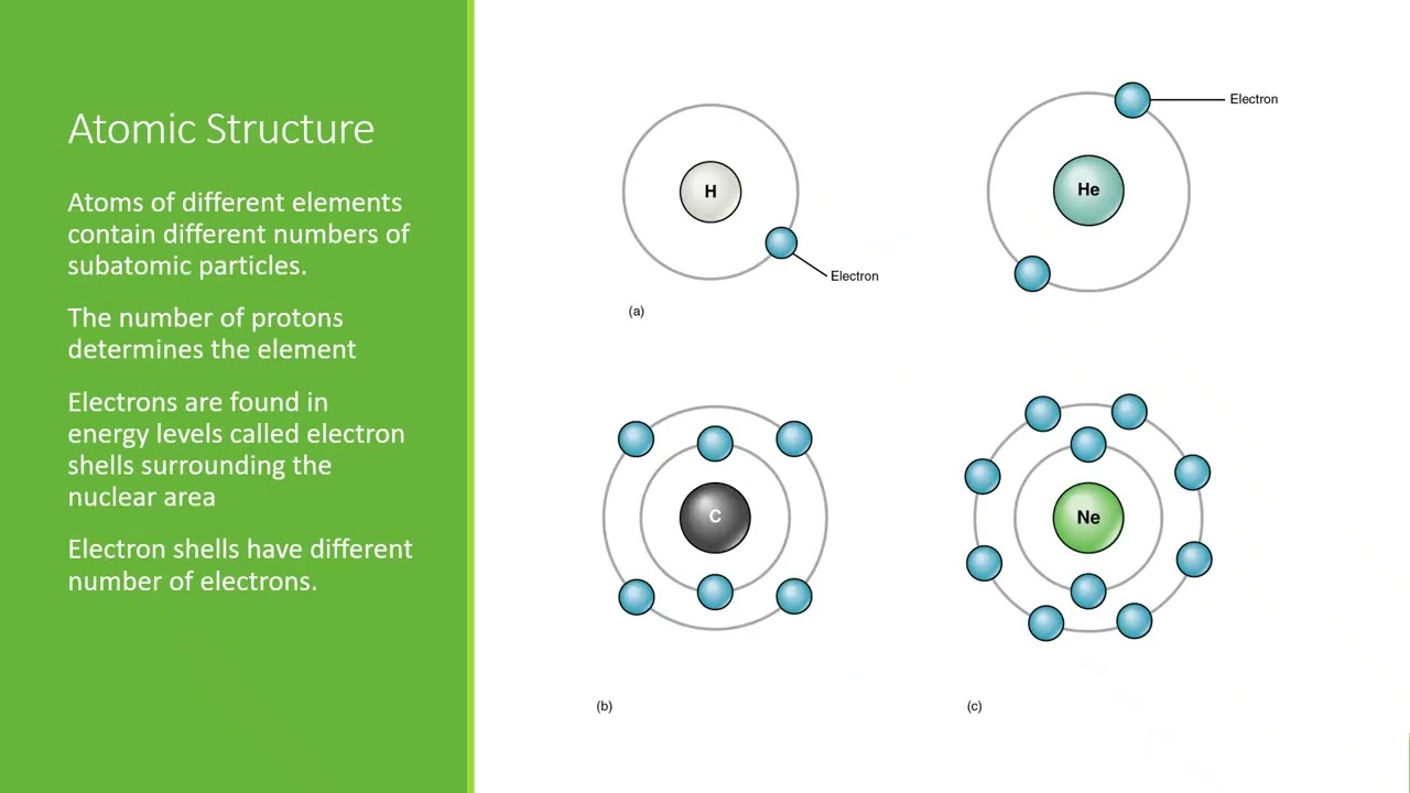 BIO 210 Chapter 2 PPT Recording
