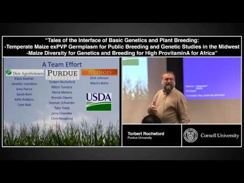 The Interface of Basic Genetics and Plant Breeding - Torbert Rocheford