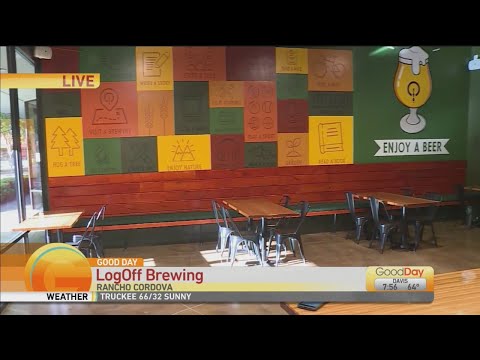 LogOff Brewing