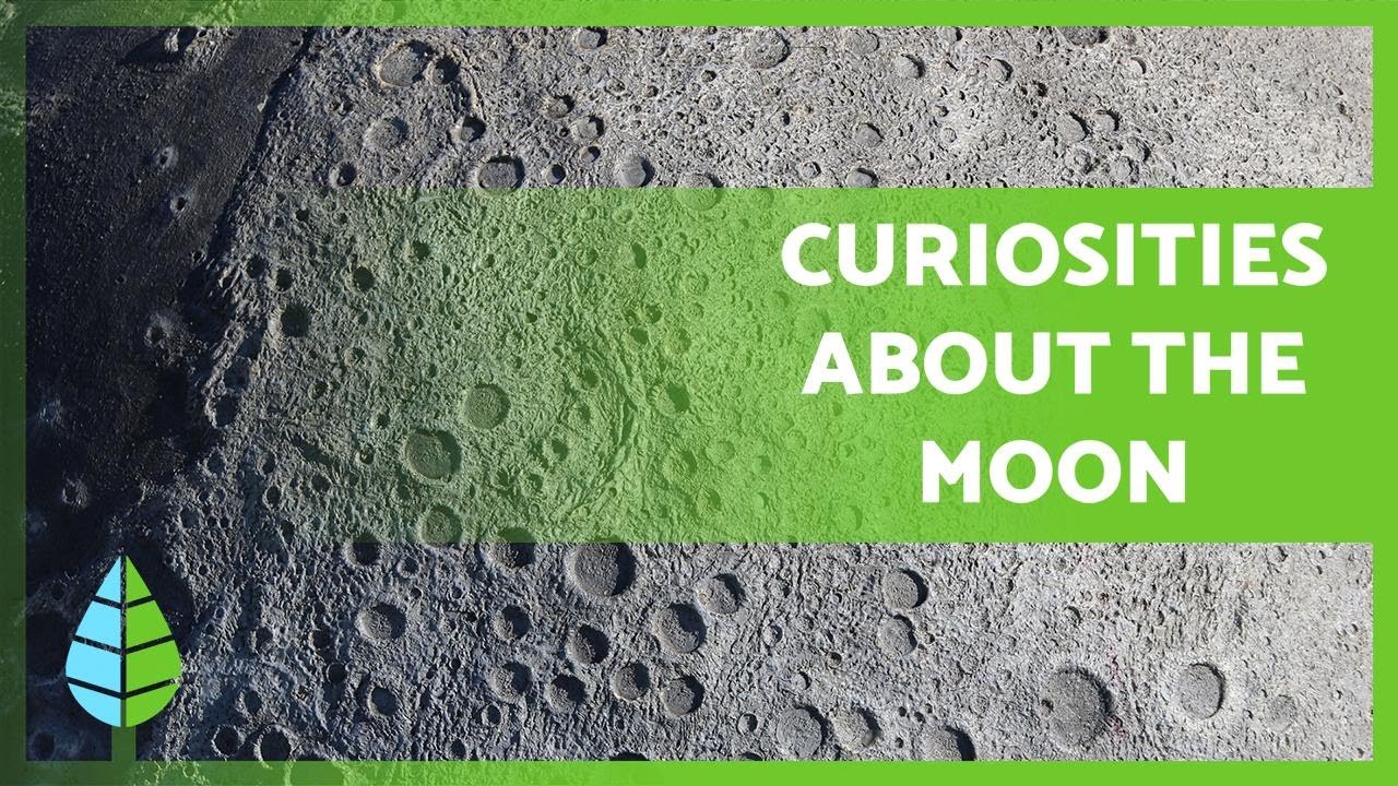 Why does the moon have CRATERS 🌑 CURIOSITIES about the MOON