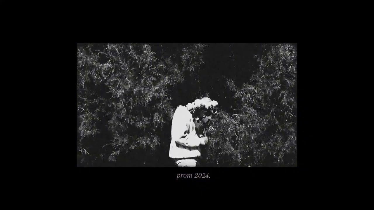 ALEXX - Prom 2024. / Niyahnicole. Visualizer