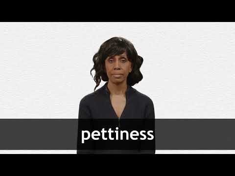PETTINESS definition in American English | Collins English Dictionary