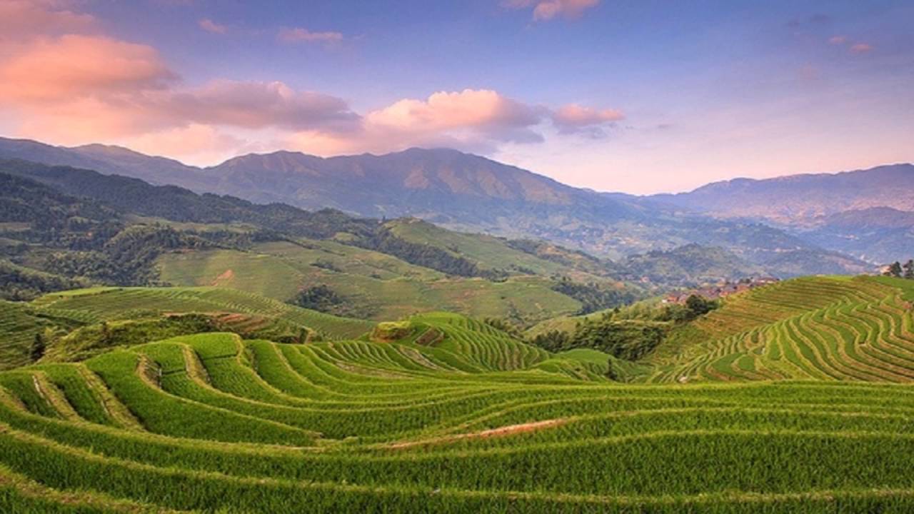 Beautiful Quran Recitation By Muhammad Taha Al Junayd with English ...