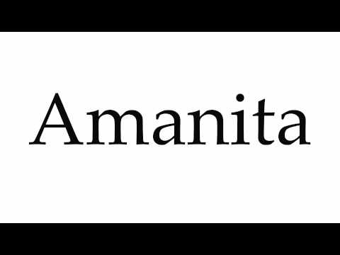 How to Pronounce Amanita