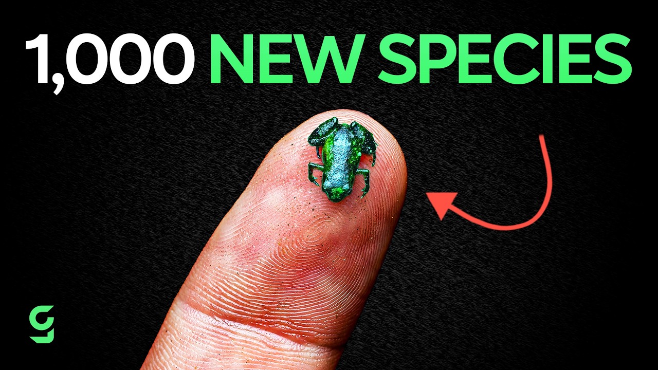 Celebrating 1,000 Newly Discovered Animal Species and Conservation ...