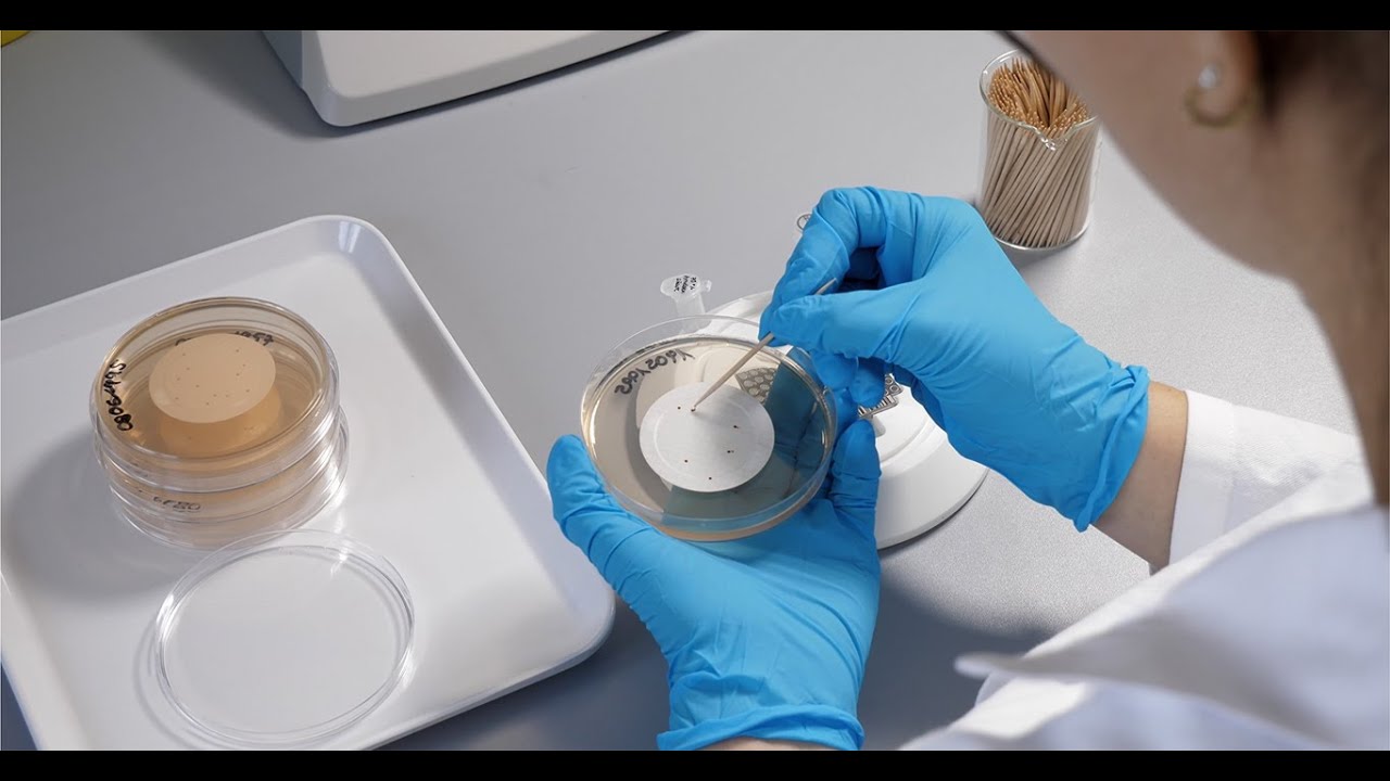 A quicker way to track down enterococci