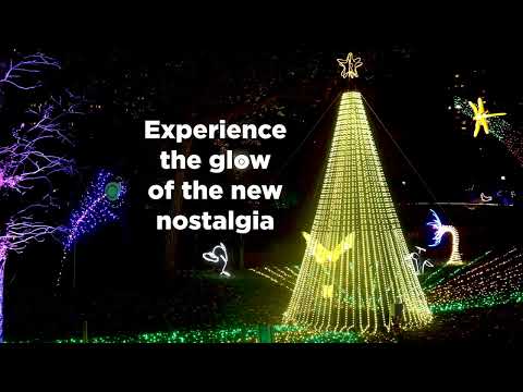 ZooLights Presented by ComEd and Invesco QQQ Video Preview