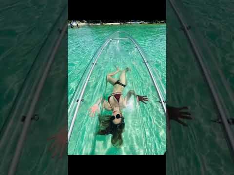 Vitamin Sea!
