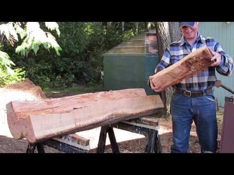 Progress on 3 Kid Log Hive | Adventures in Natural Beekeeping
