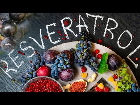 Is Resveratrol The Fountain of Youth?