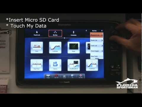 FS Fish Chip Installation - Raymarine