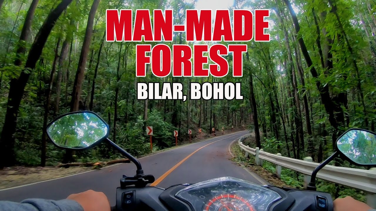 JoyRide Bilar-Loboc / MAN-MADE FOREST