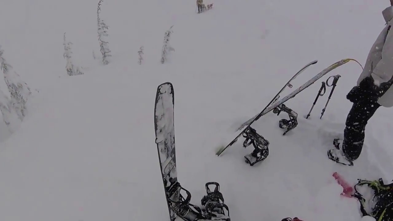 the roberto project 3-5-17