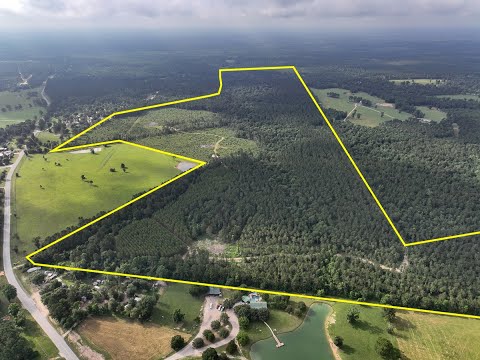 248 acres | FM1725 | San Jacinto Co., Texas