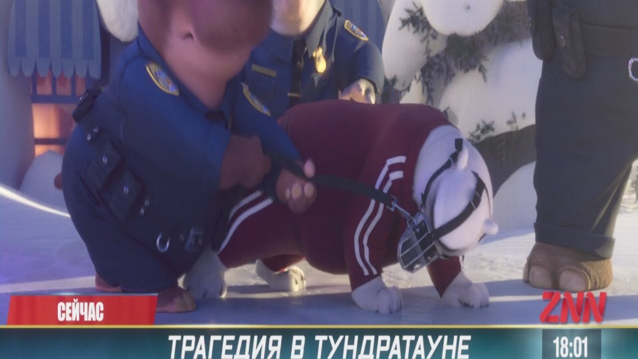zootopia scene : the savage polar bear in fash TV news....