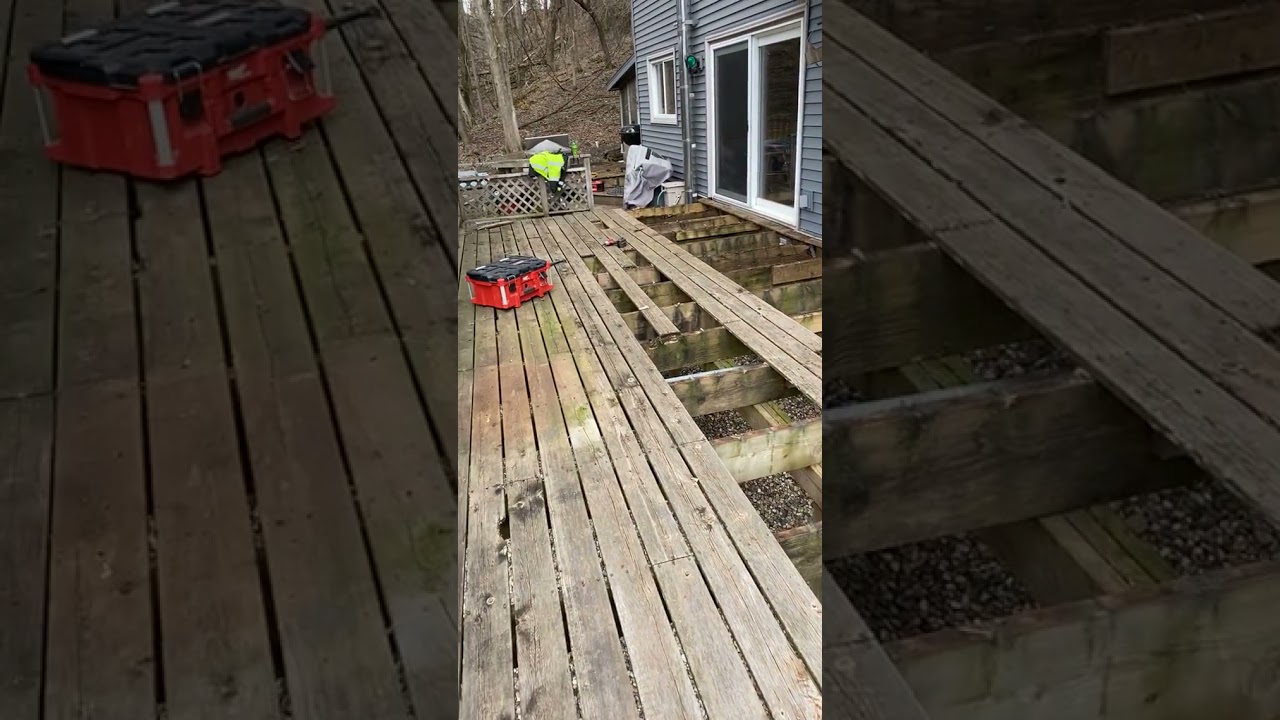 projects and stuff CREDIT ponddownunder #Shorts