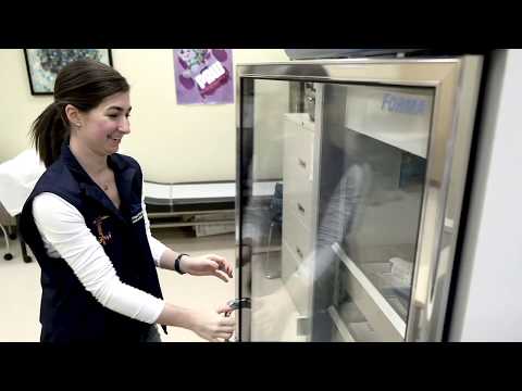 What we do - Public Health Nurse