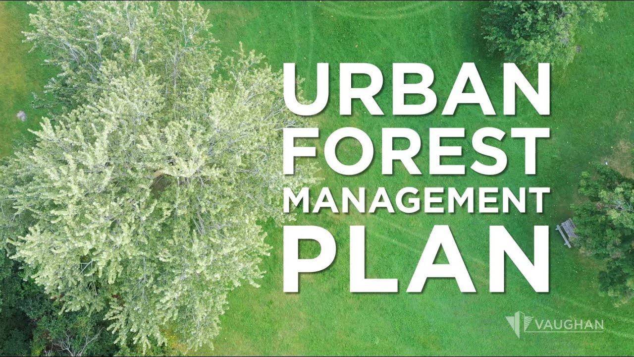 Urban Forest Management Plan