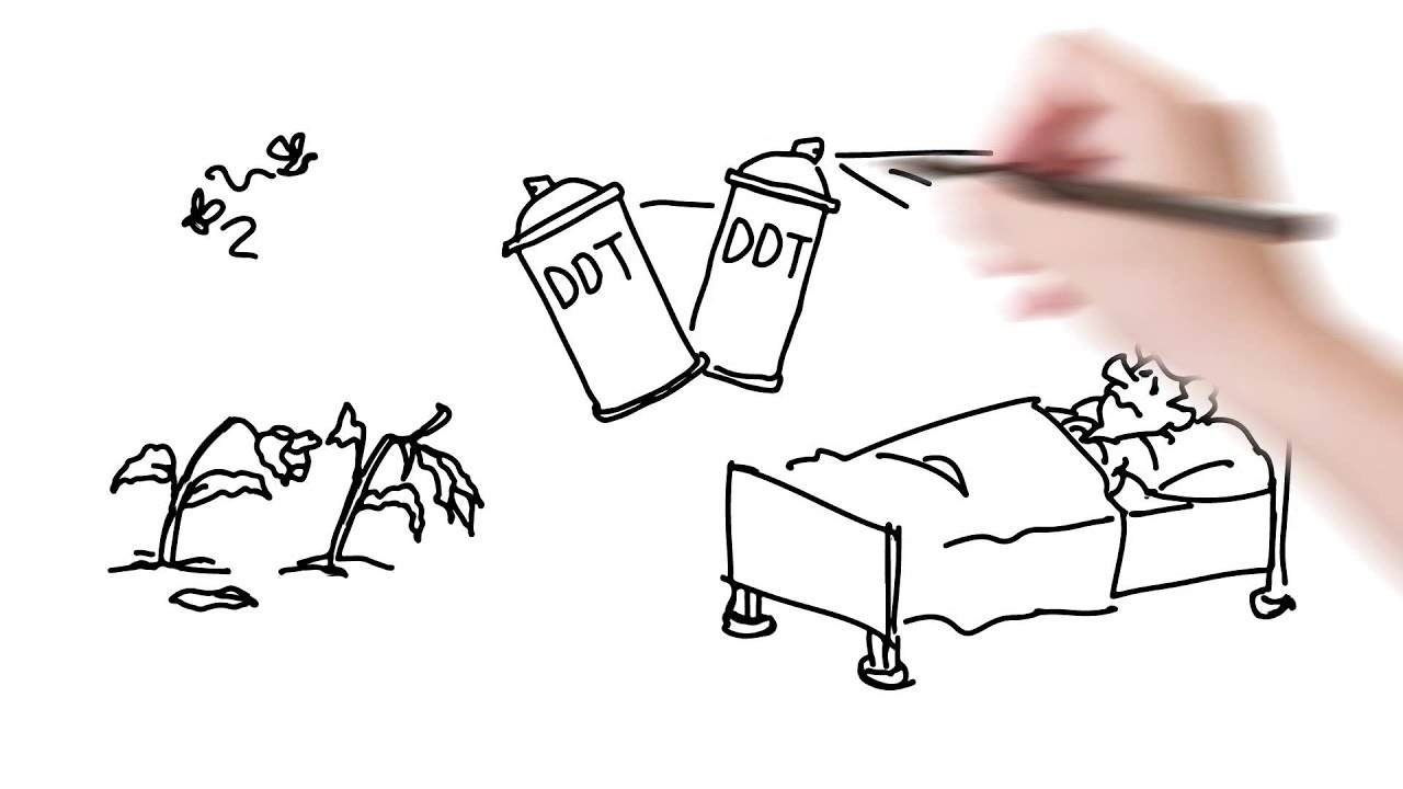 Hazard, Risk & Safety - Understanding Risk Assessment, Management and Perception