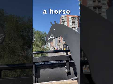Homophones: Nay and Neigh. English in the City 🏙️ Toronto📍 #learnenglish