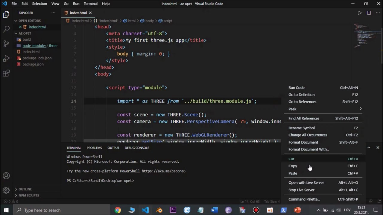 importing three.js not working OR import * as THREE from '../build/three.module.js'; not working